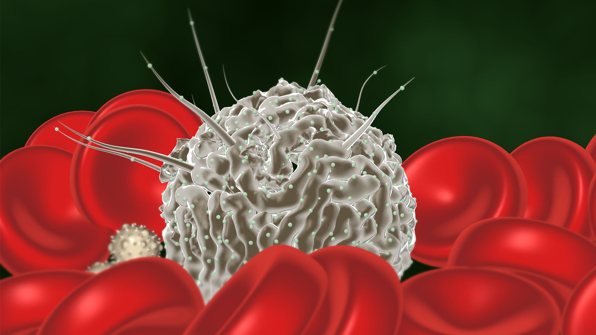 Potential New Approach to Enhancing Stem-Cell Transplants | Montefiore ...