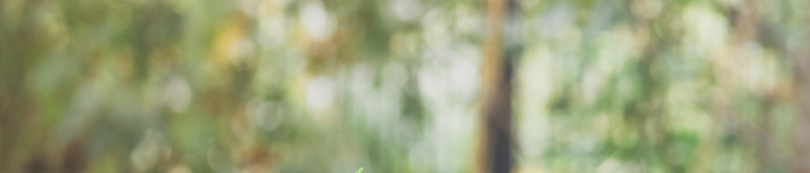 Van der Woude Syndrome | New York Center for Rare Diseases at ...