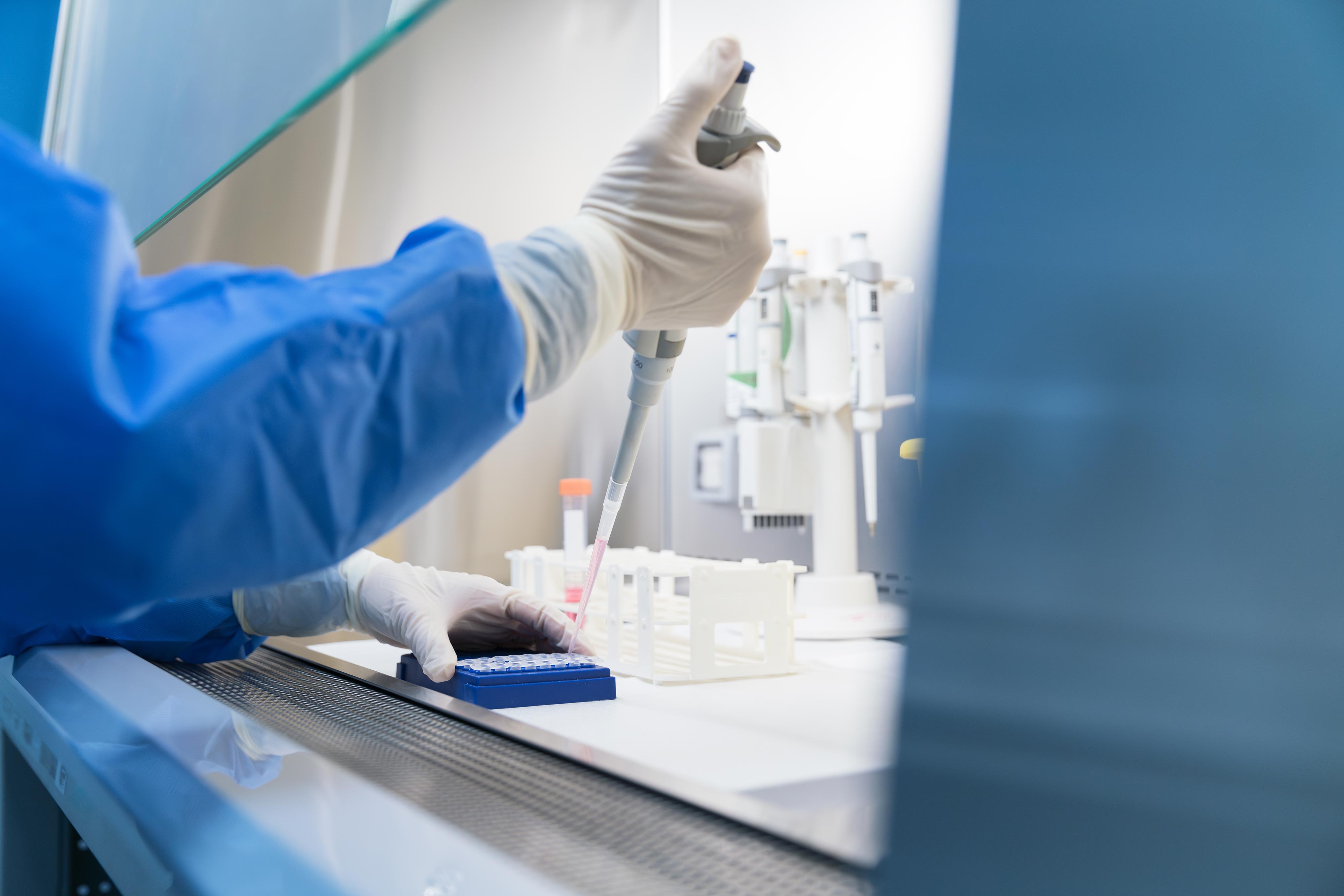 Studying Enzymes Crucial to Immunomodulation | Montefiore Einstein
