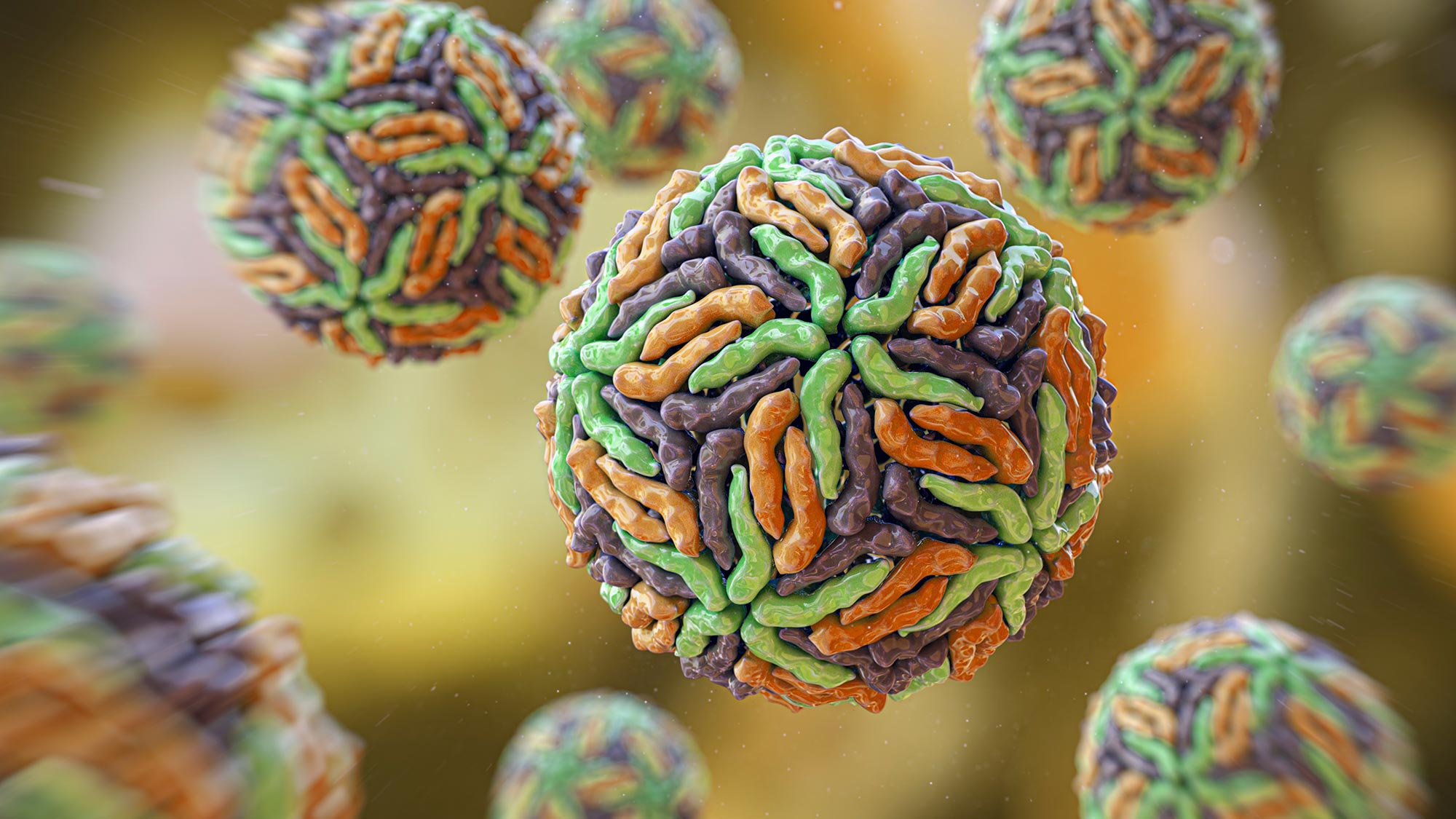 Study Reveals How Tick-Borne Encephalitis Virus Enters Cells ...