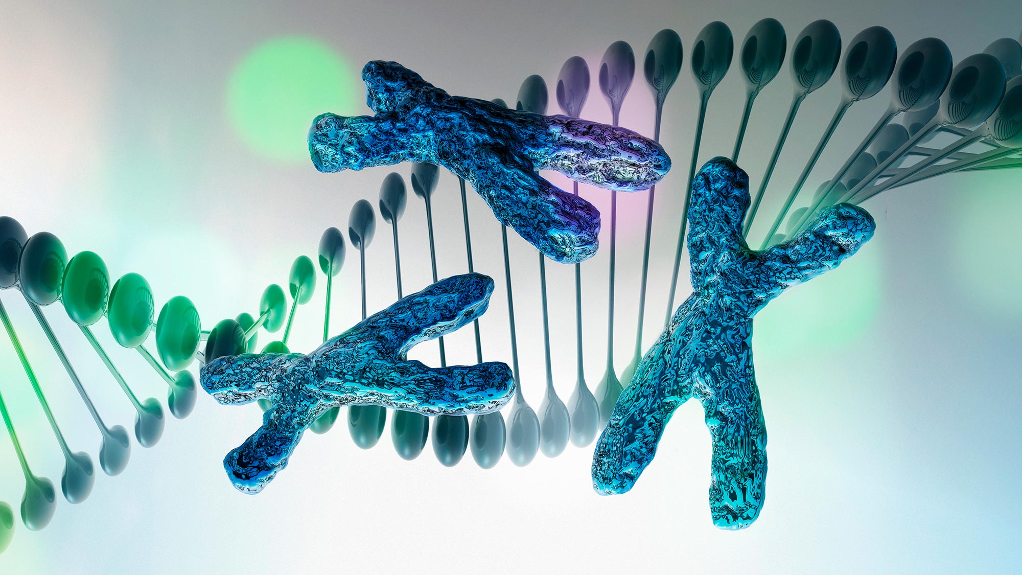 X Chromosome Silencing Gene Has Surprising Form and Function ...
