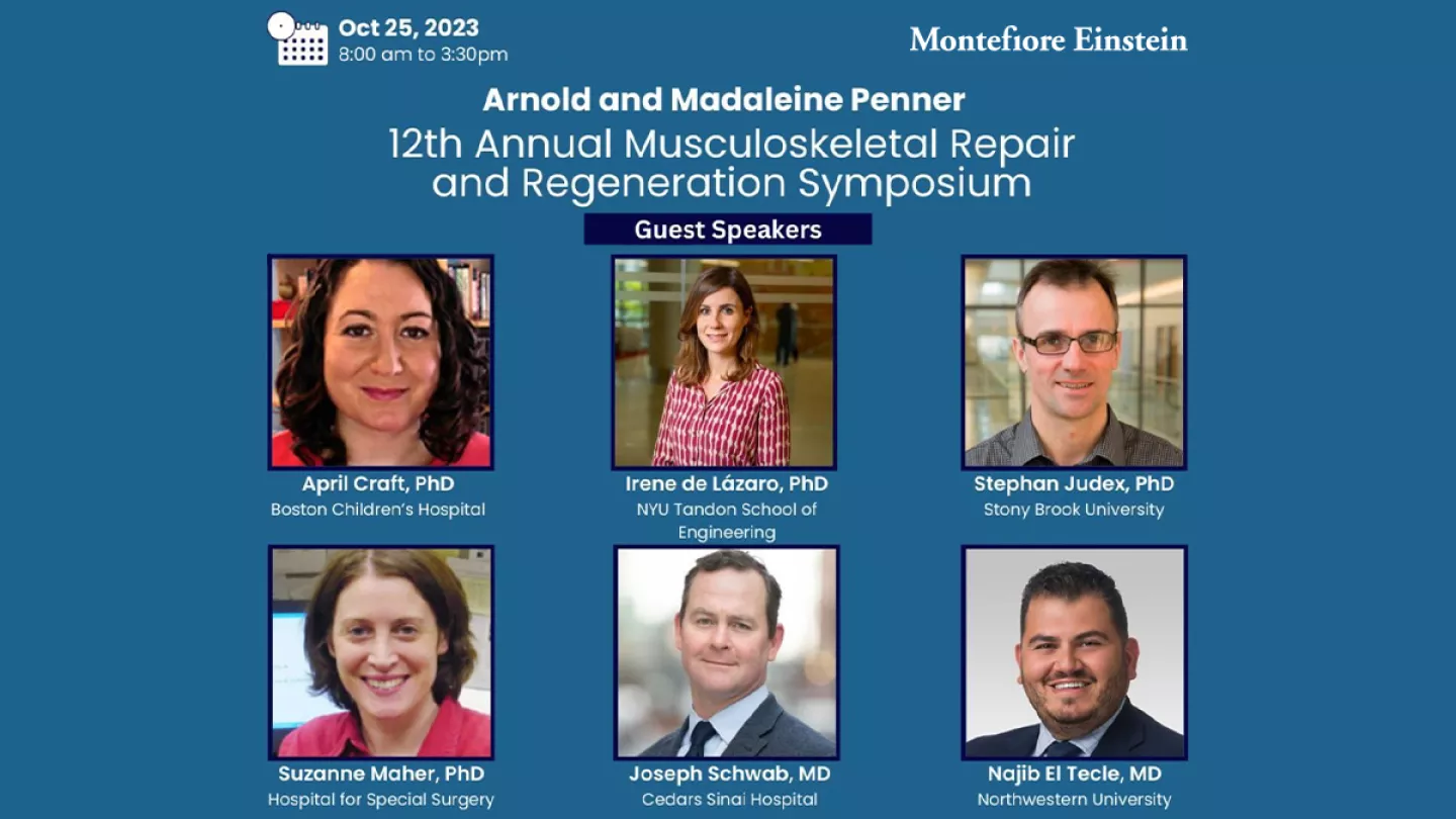 Montefiore Einstein Orthopedic Surgery