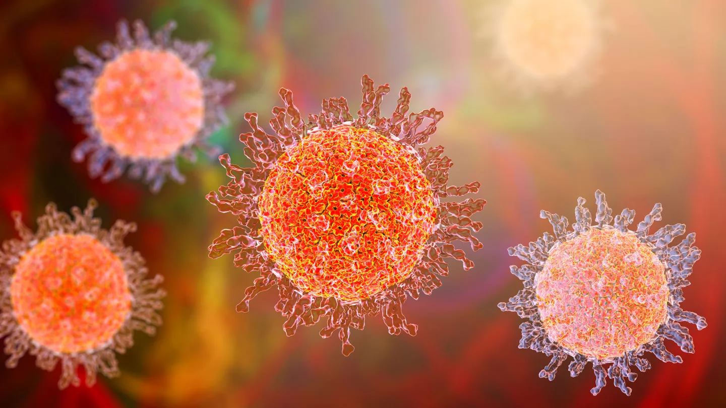 Novel Mouse Model Could Lead to Effective Herpes Vaccine | Montefiore ...