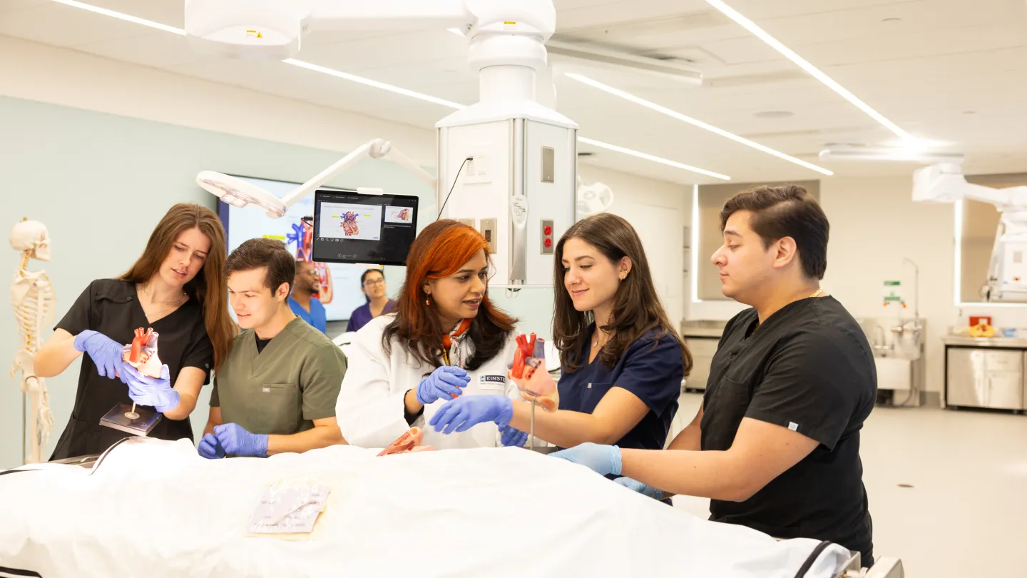 The Anatomy of Perseverance: Dr. Priti Mishall’s Path to Transforming Anatomy Education ...